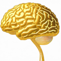 About – Neurocomb25®